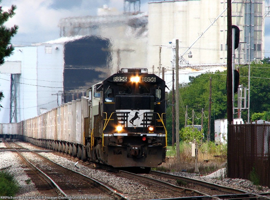 NS 8856